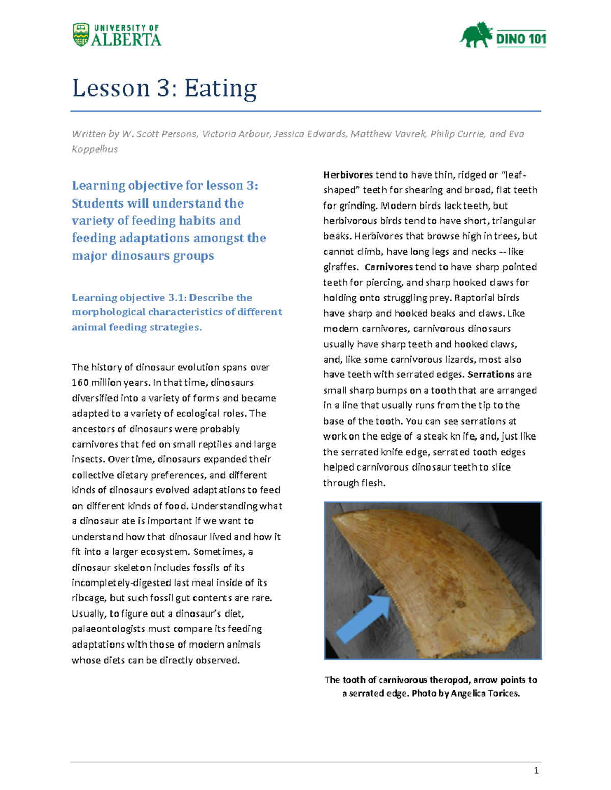 Lesson 3 F15: Understanding Dinosaur Feeding Habits and Adaptations ...