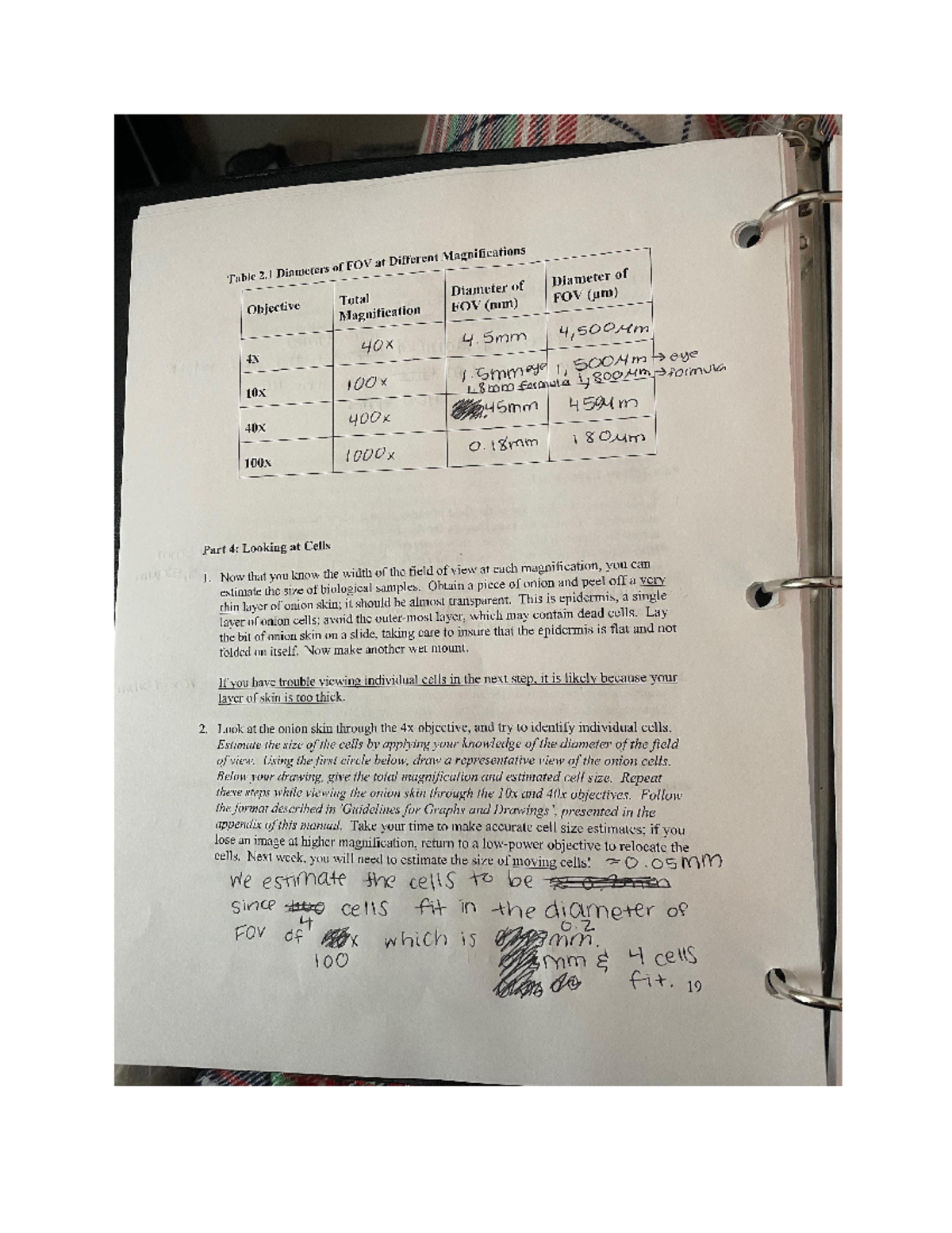 Bio 101 Lab Report #2: Experiments and Findings - Studocu