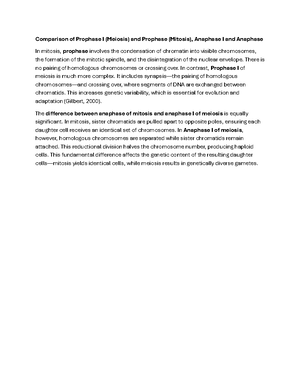 Aspetar Hamstring Protocol: Assessment & Exercises for Rehab - Studocu