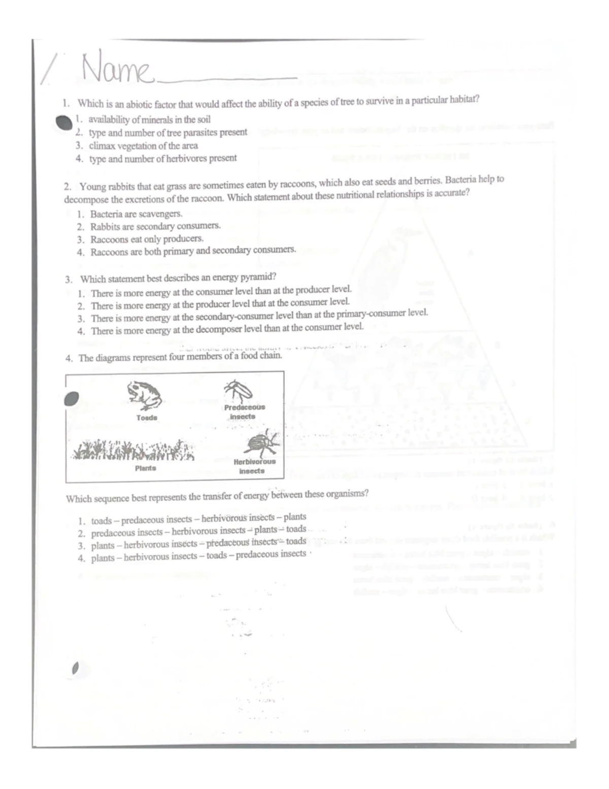 Topic 6 Review Guide: Food Chains and Ecosystem Dynamics - Studocu