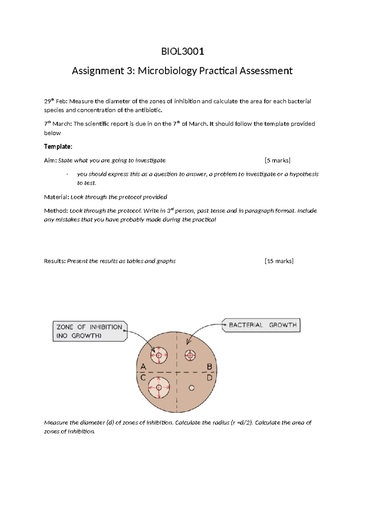 BIOL3001 Assignment 3: Microbiology Practical Report Guidelines - Studocu
