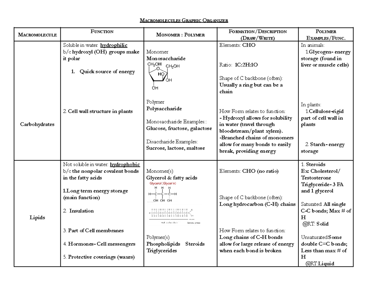 Macromolecules Overview Table for Biology Course 2019/20 - Studocu
