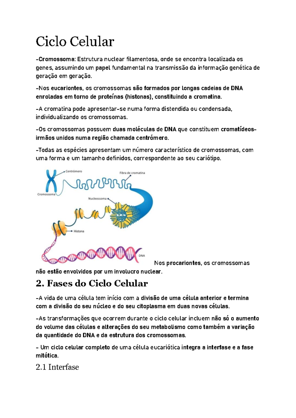 2. Ciclo Celular: Estrutura e Fases do Ciclo em Eucariontes - Studocu