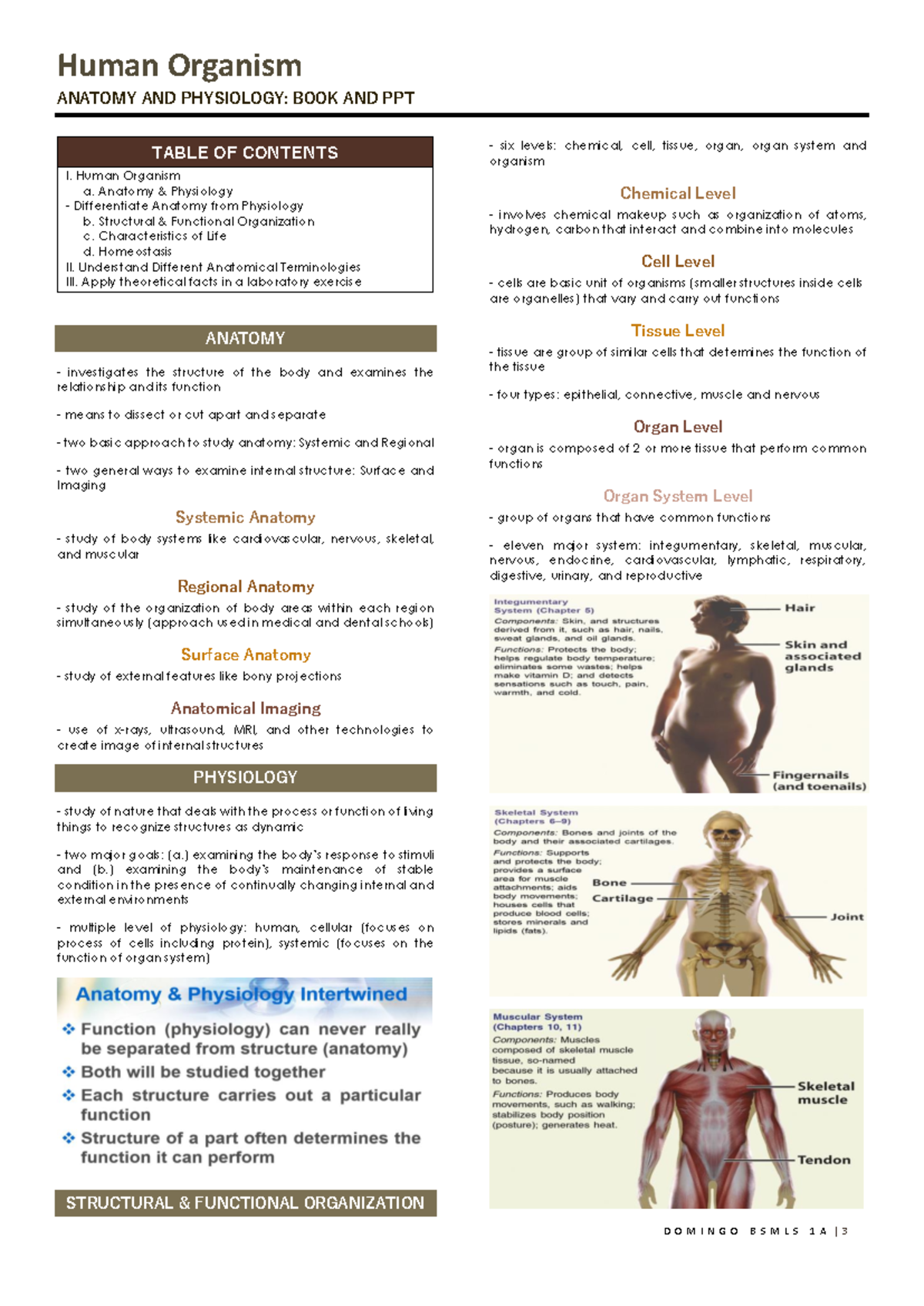 Anaphy Chapter 1 Human Organism - ANATOMY AND PHYSIOLOGY: BOOK AND PPT ...