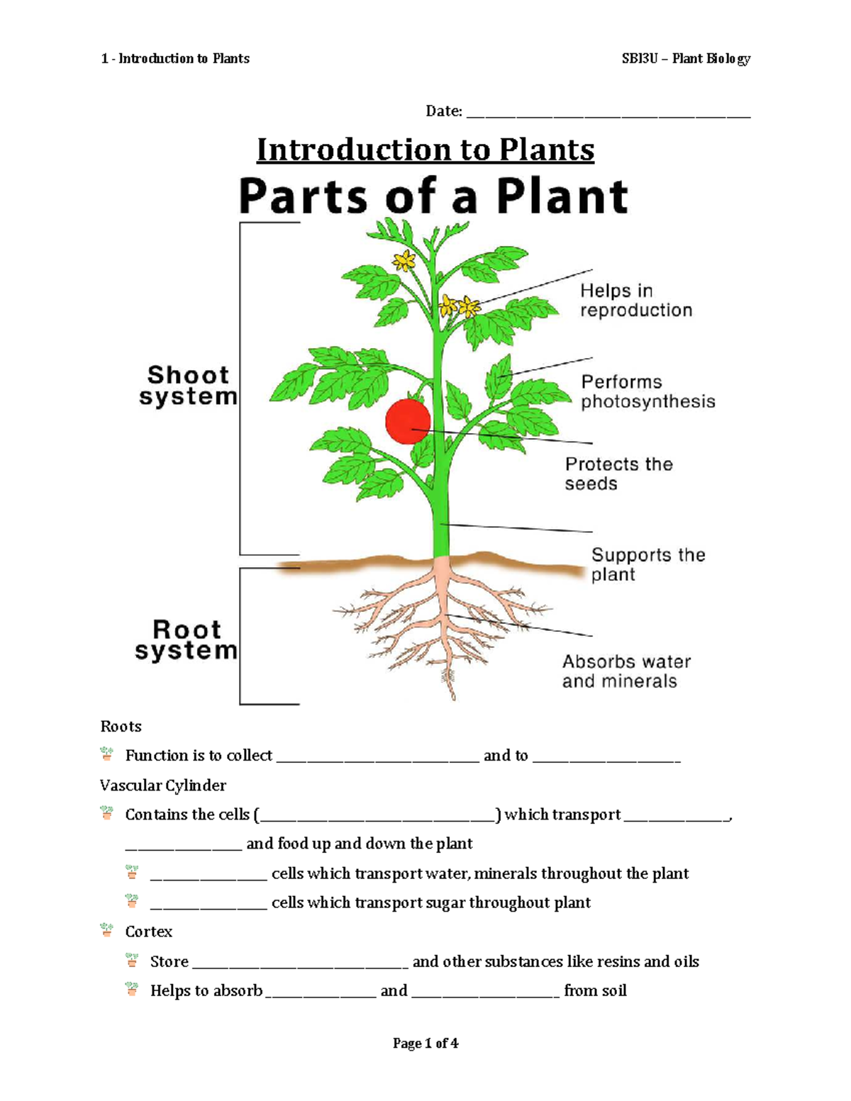 01 - Introduction to Plants - Date ...