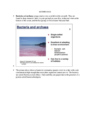 ENDOCRINE SYSTEM Lab VI: Hormones, Glands, and Histology Overview - Studocu