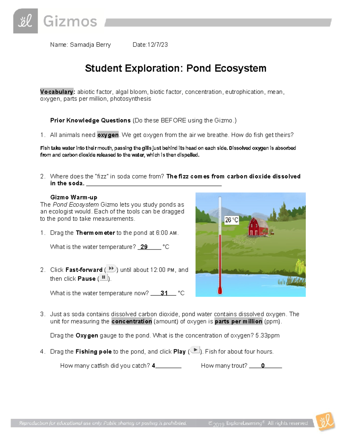 Pond Ecosystem Exploration SE: Understanding Oxygen Levels and ...
