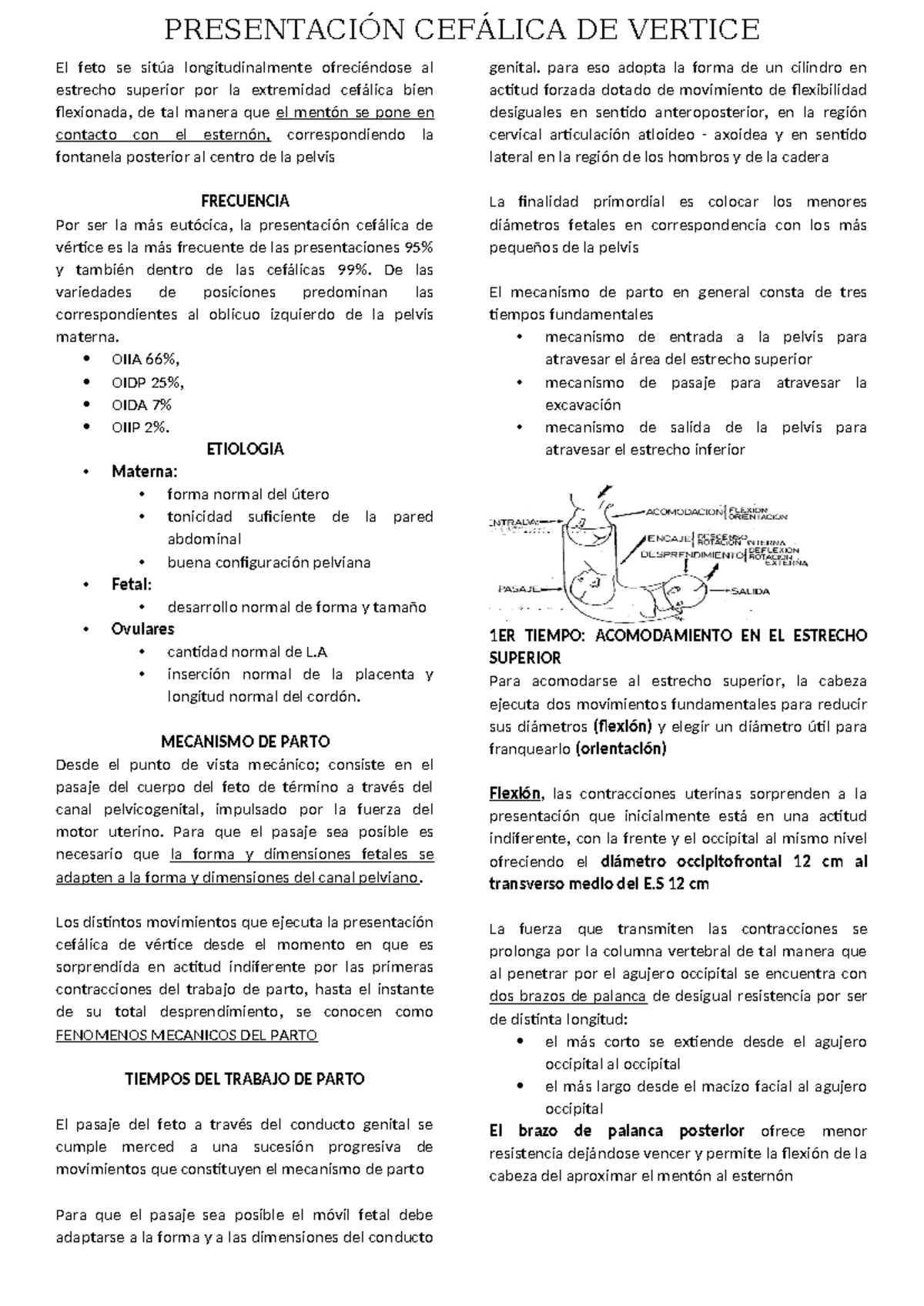 Guía sobre la Presentación Cefálica de Vértice - CEF 101 - Studocu