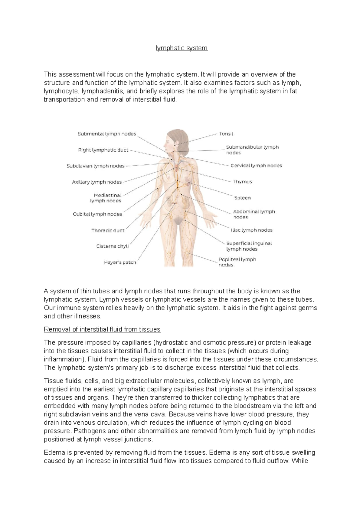 Lymphatic System Overview: Structure, Function, and Key Concepts - Studocu