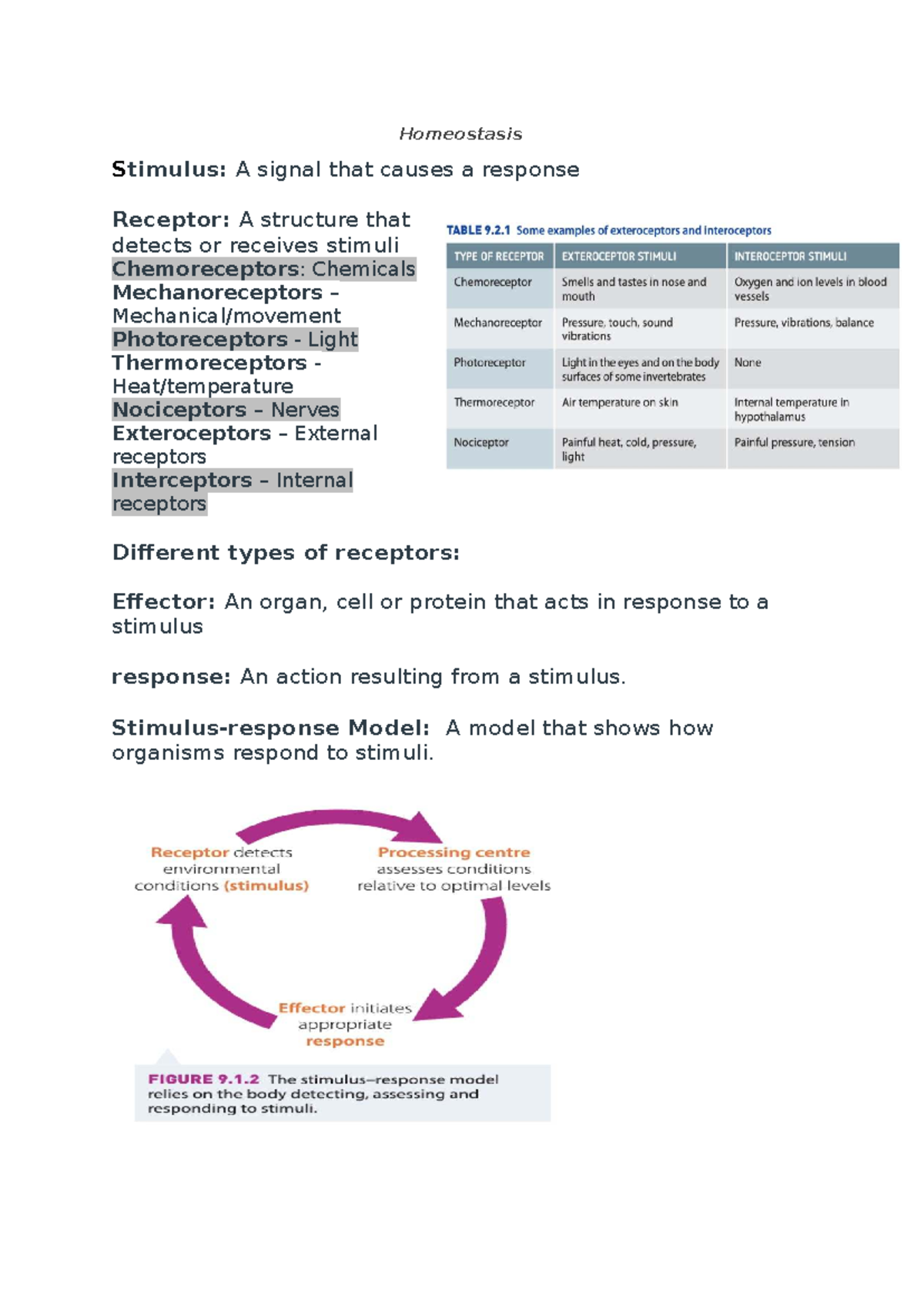 Homeostasis: Understanding Stimuli and Receptor Responses - Studocu