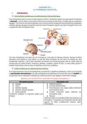 Chapitre N°2 - La première et seconde topique de Freud - CHAPITRE N°2 ...
