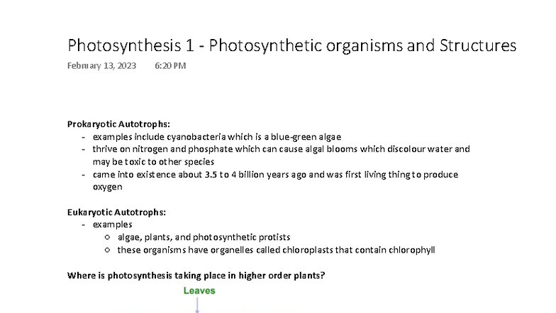 Photosynthesis 1: Structures and Organisms Overview - Studocu