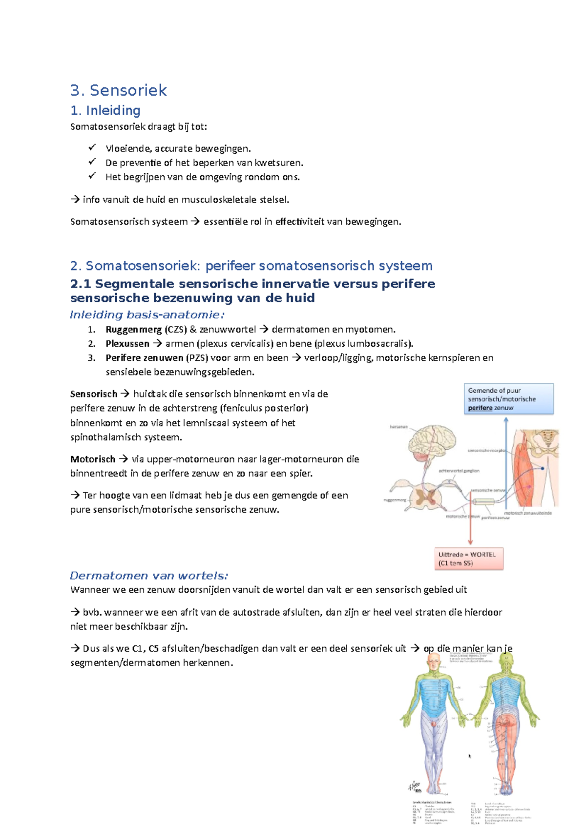 3. Somatosensoriek: Functies en Anatomie van het Perifere Systeem - Studocu
