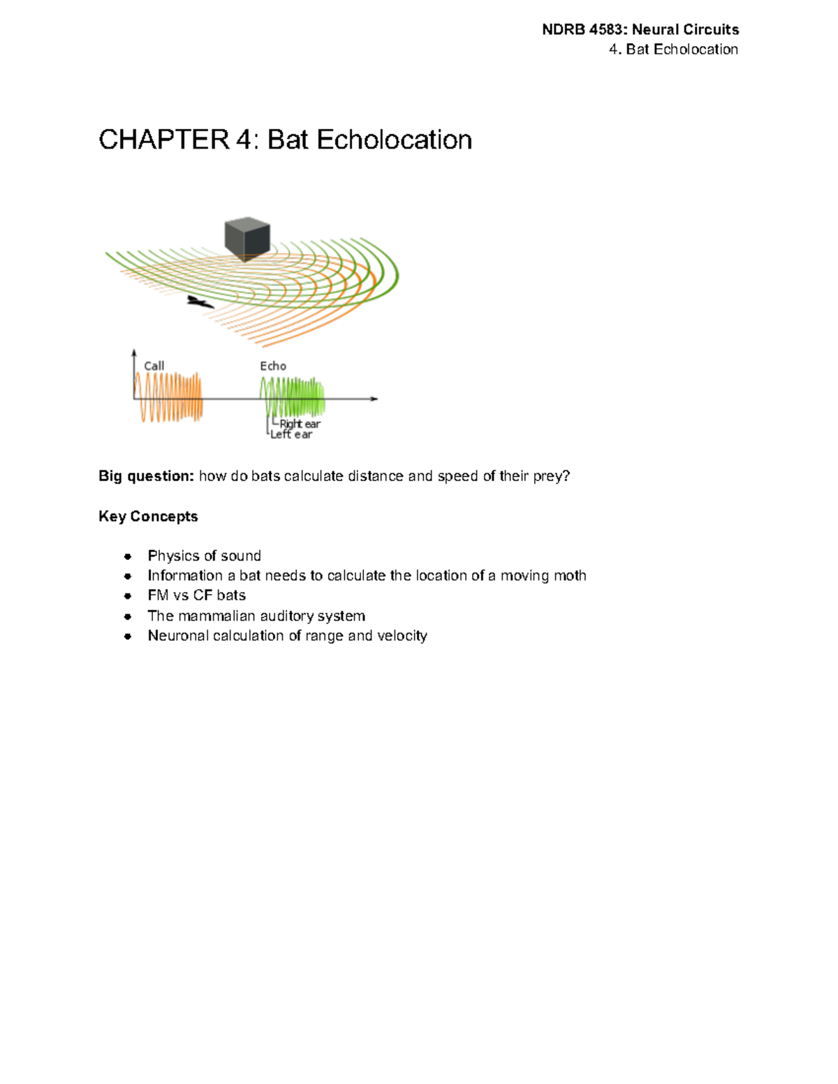 NDRB 4583: Neural Circuits - Understanding Bat Echolocation Techniques - Bat Echolocation ...