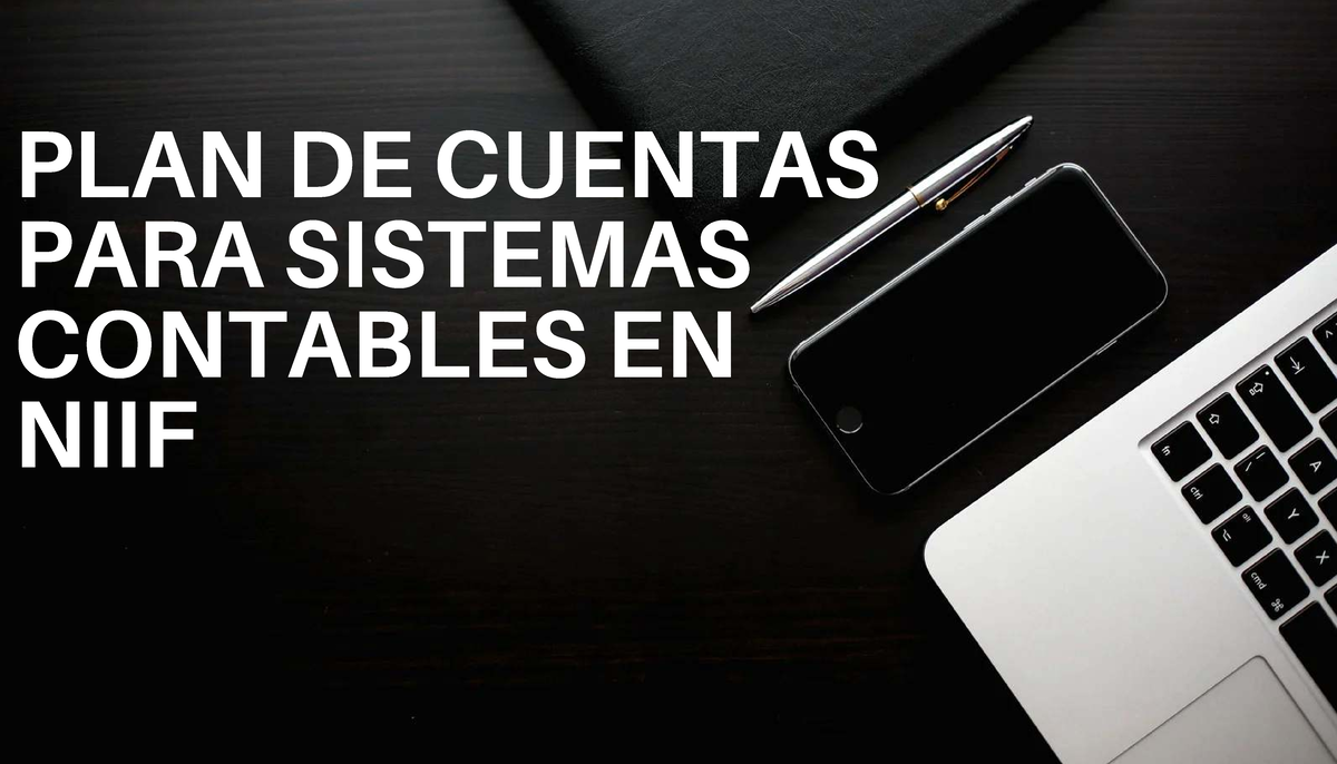 Plan de Cuentas NIIF para Sistemas Contables en Contabilidad - Studocu