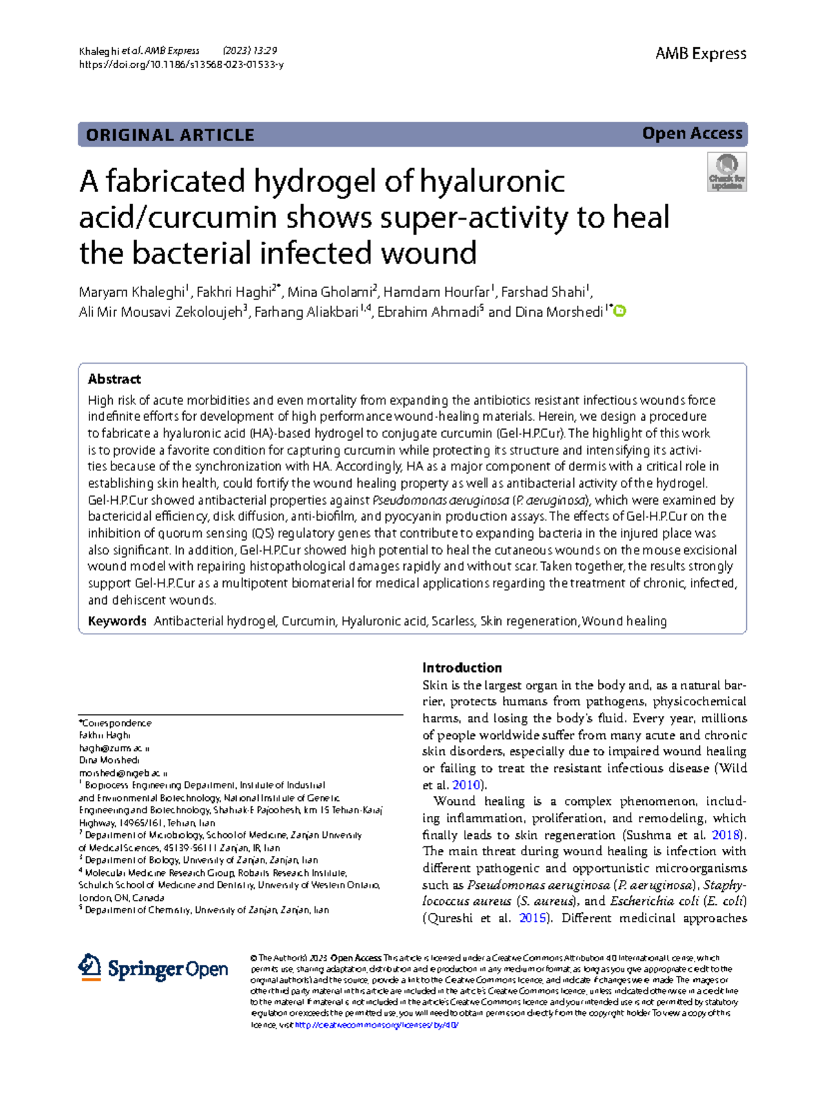 S13568 023 01533 y - Hyaluronic Acid Hydrogel with Curcumin for Wound ...