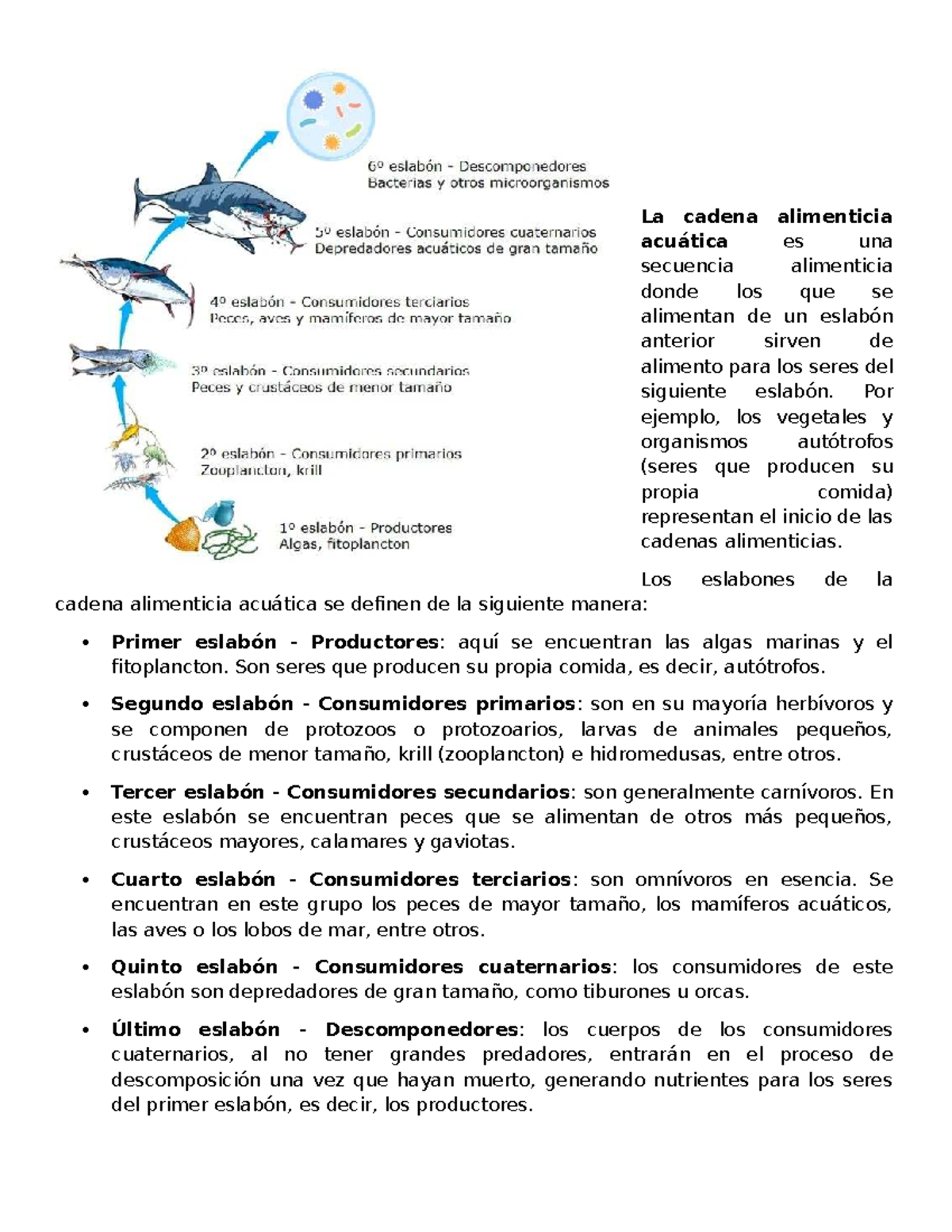 Cadena Alimenticia Acuática: Eslabones y Ejemplos - Studocu