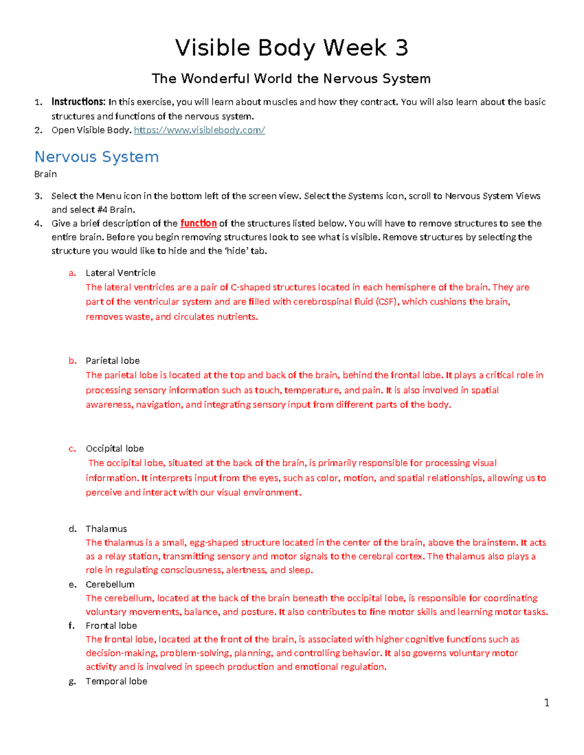 Week 3 Visible Body Nervous system - Visible Body Week 3 The Wonderful ...