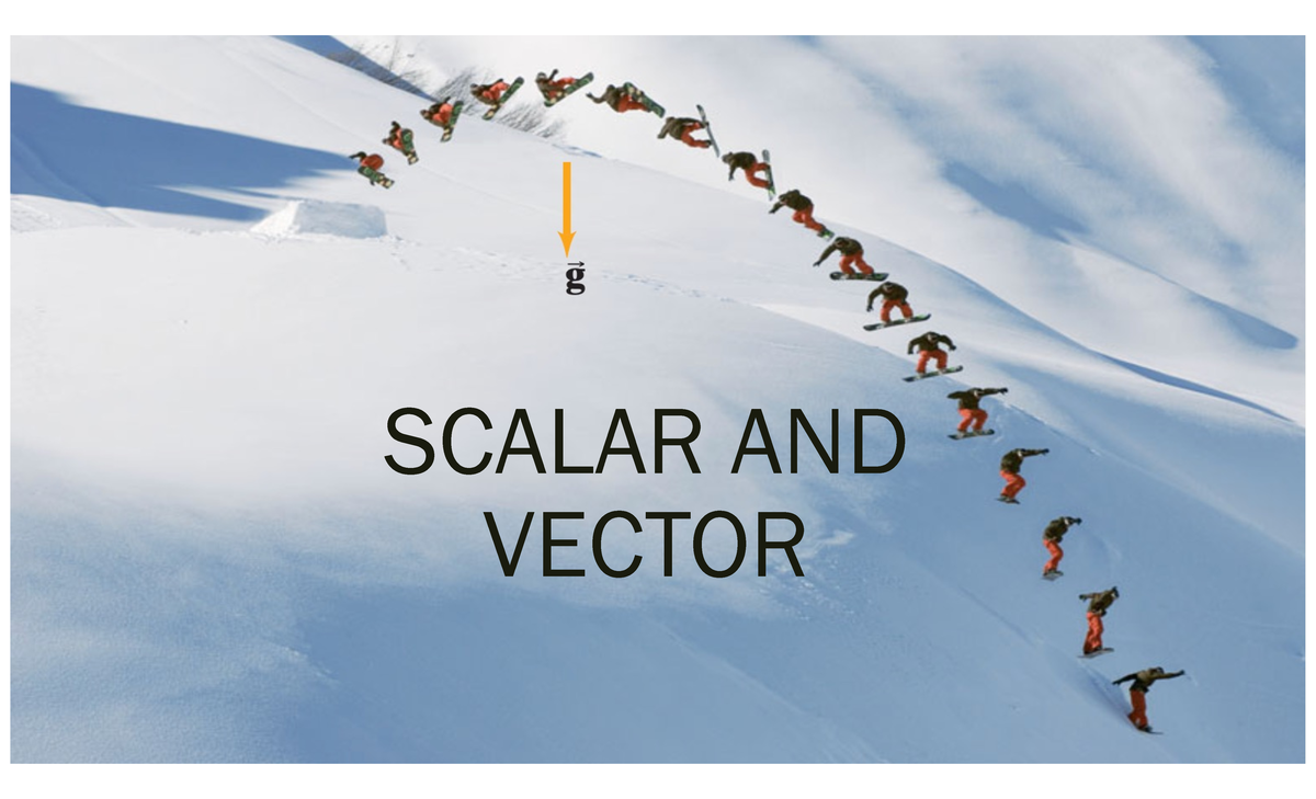 Lesson 3: Scalars and Vectors in Physics Concepts - Studocu