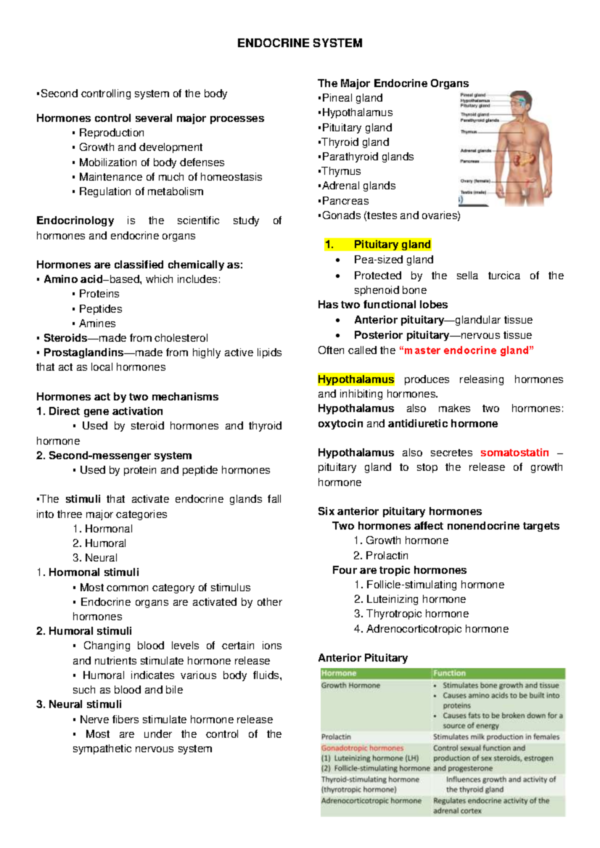 MArieb Anaphy, endocirne and blood - ENDOCRINE SYSTEM Second ...