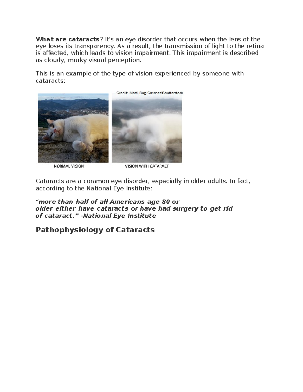 What are cataracts - notes - What are cataracts? It’s an eye disorder ...