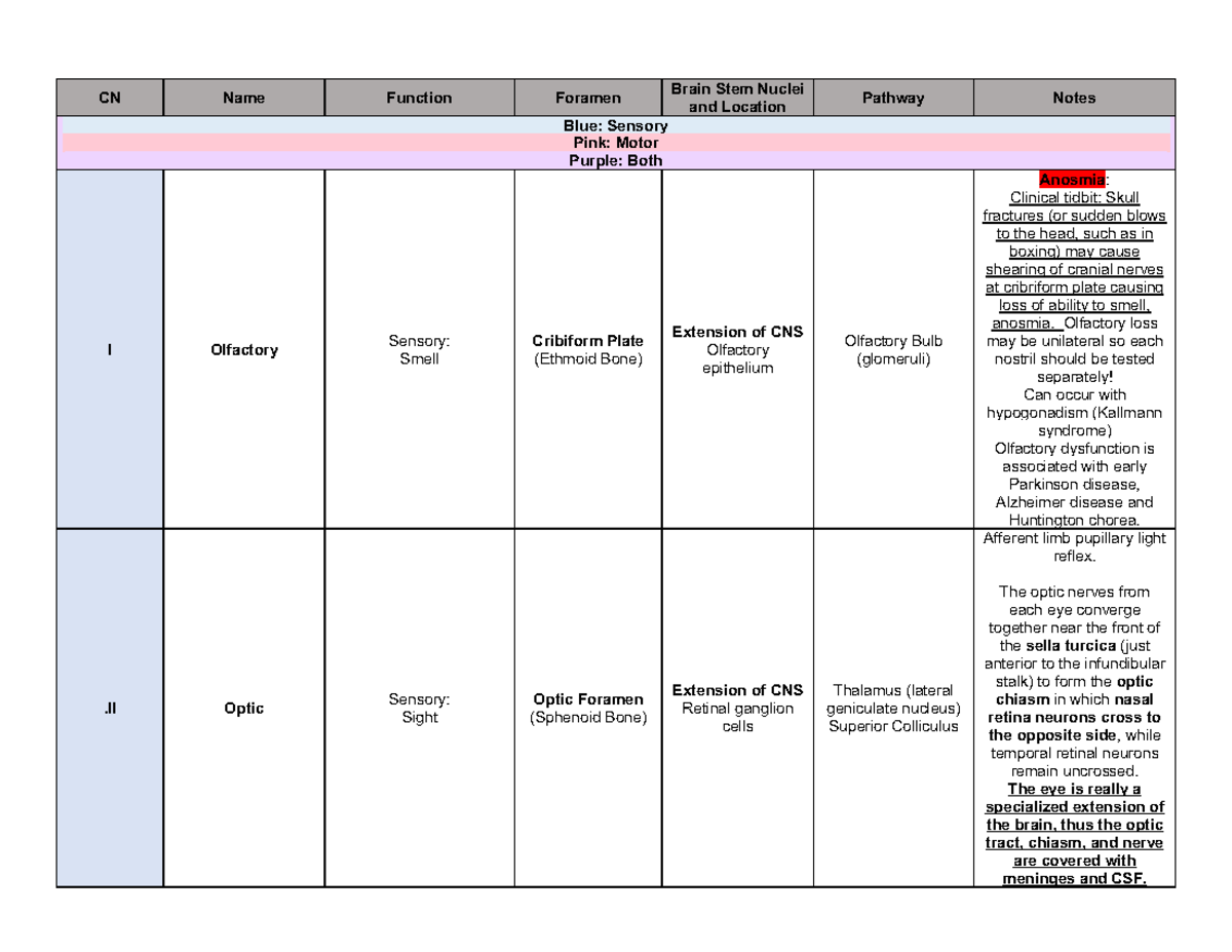 Cranial Nerves Overview Chart: Functions and Pathways - Studocu