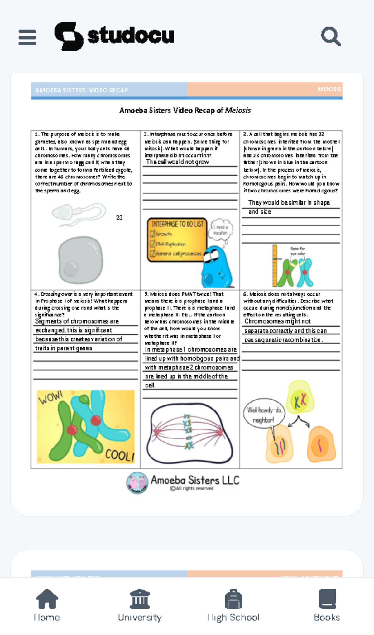 Amoeba Sisters Video Recap of Meiosis - Study Notes - Studocu