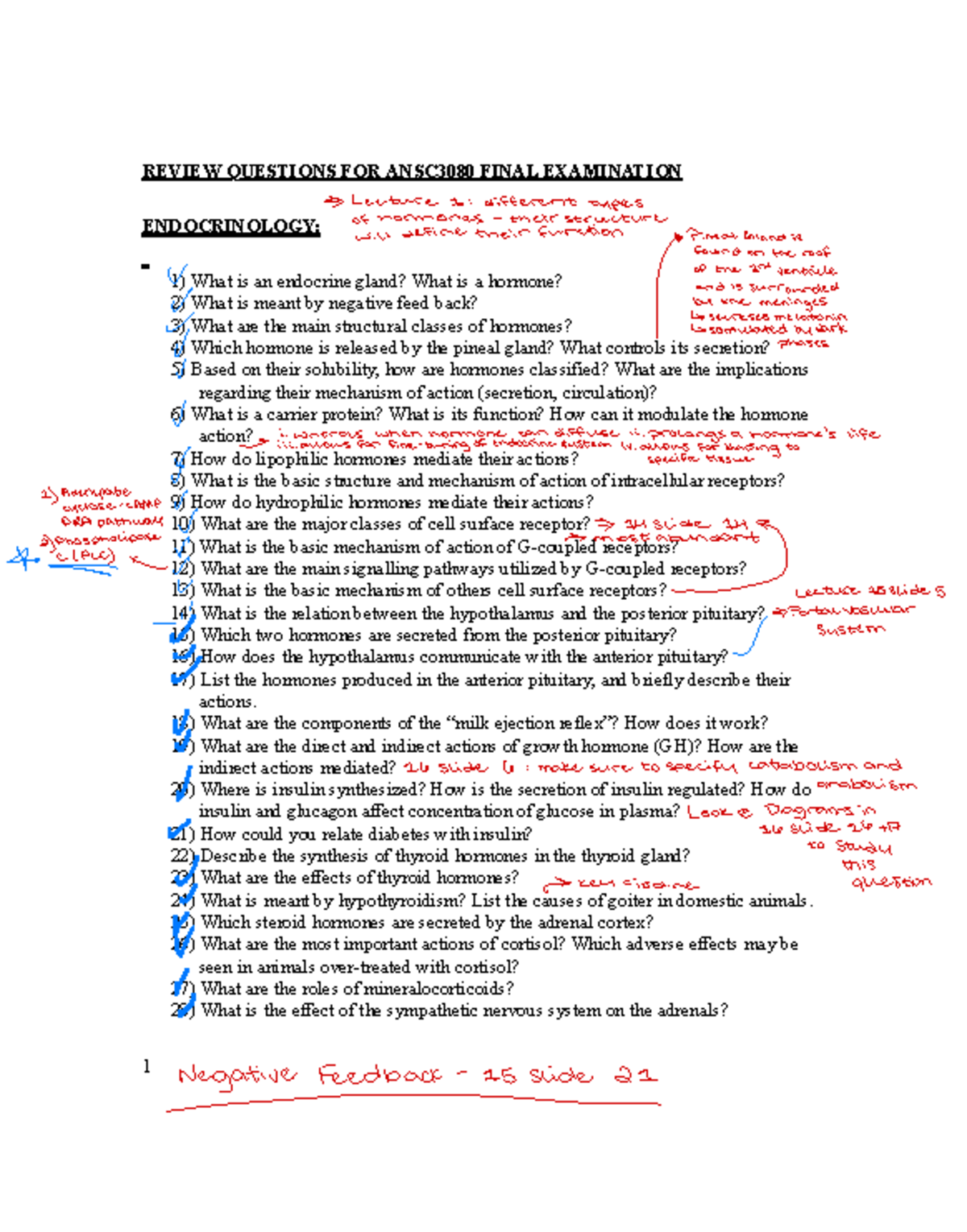 REVIEW QUESTIONS FOR ANSC3080 FINAL EXAM: ENDOCRINOLOGY - Studocu