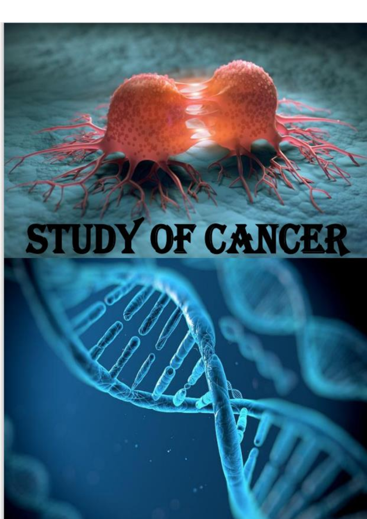 Biology Project - Cancer Investigatory Report (2022) - Studocu