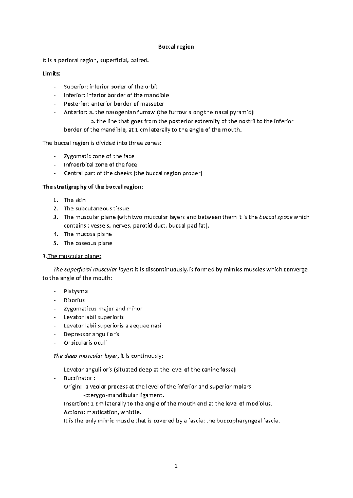 Buccal Region Anatomy Overview - Key Structures and Functions - Studocu