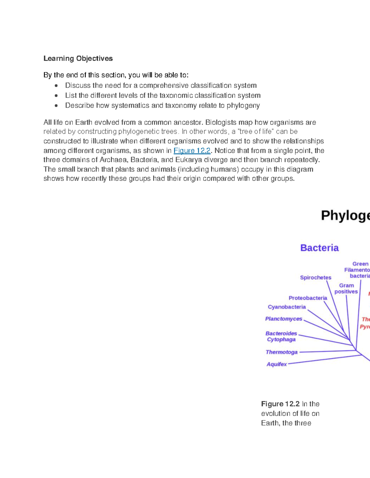 Taxonomic Classification and Phylogeny Overview (BIO101) - Studocu