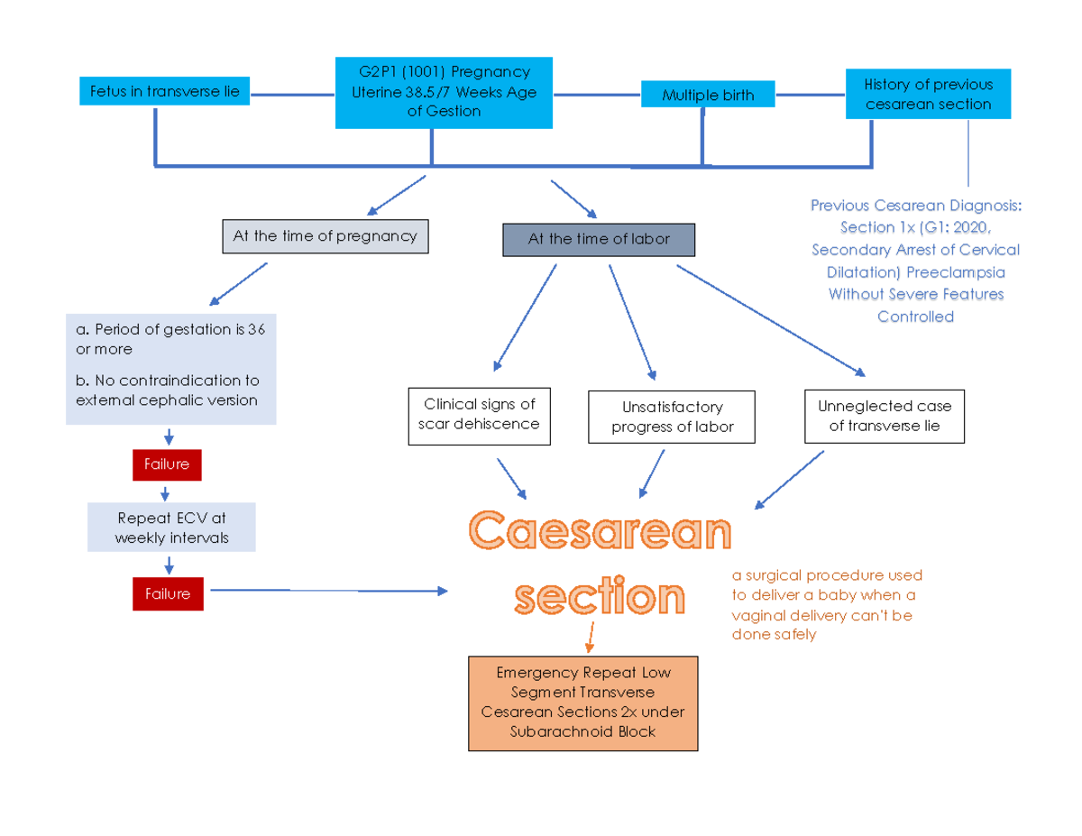 CS 1001 Pregnancy Pathophysiology: Cesarean Section Insights - Studocu