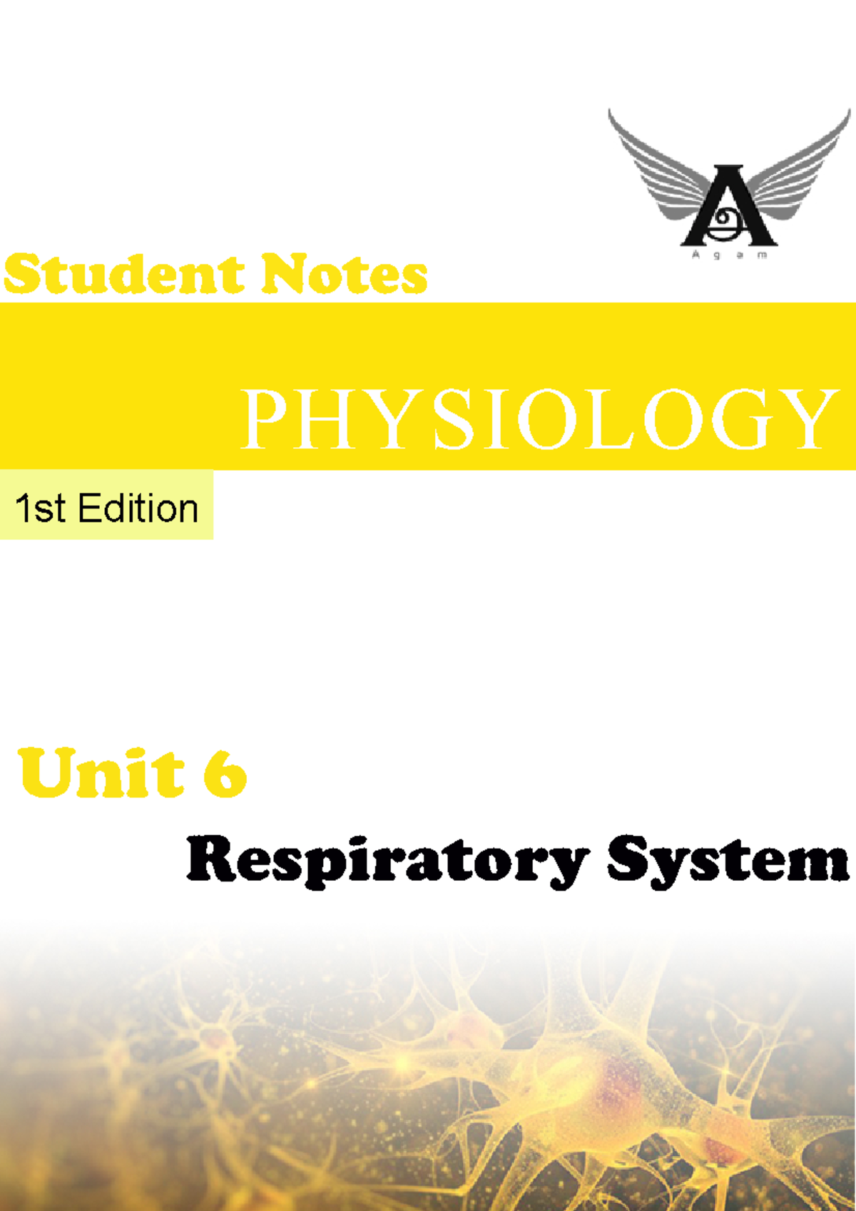 RS Physio Unit 6 Study Material: Respiratory System Insights - Studocu