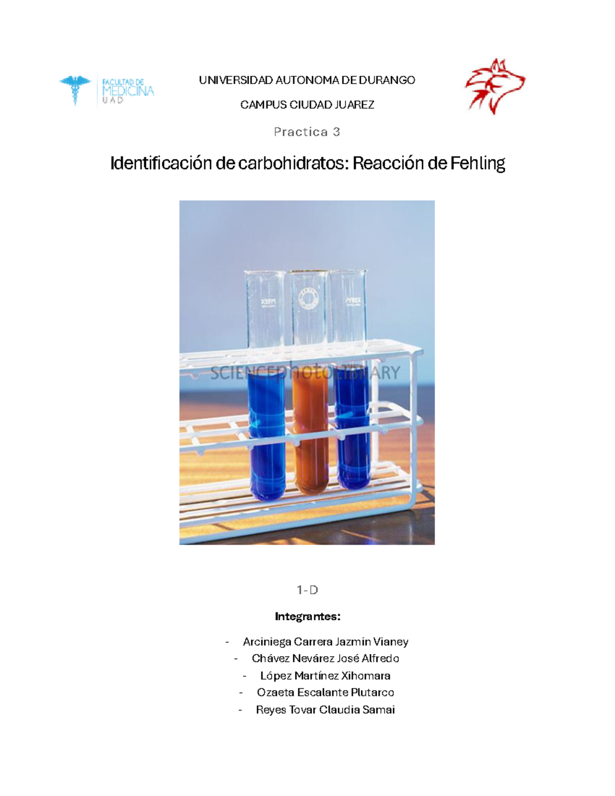Práctica 3: Identificación de Carbohidratos con Reacción de Fehling ...