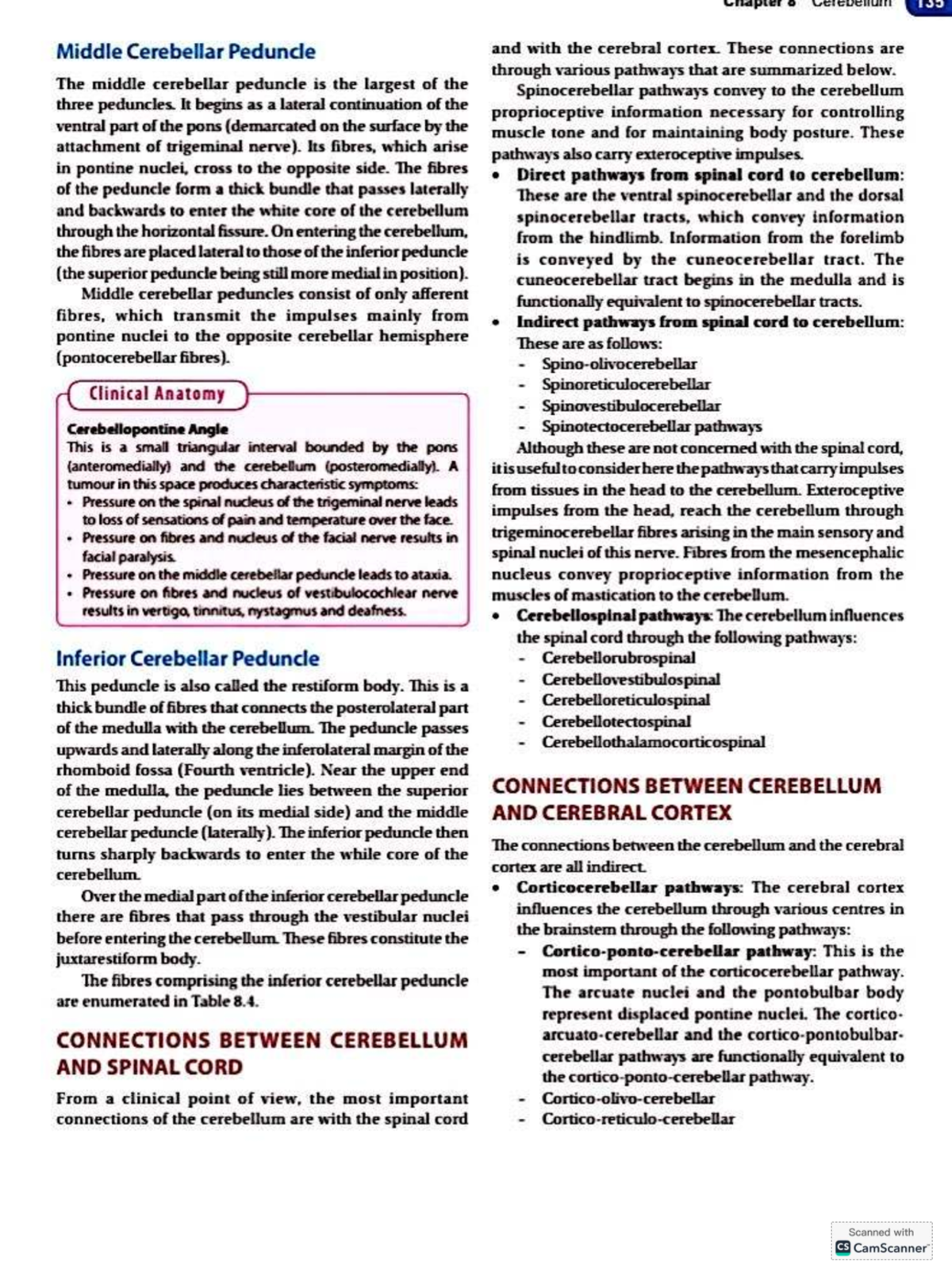 Cerebellum Connections and Functions: A Study Guide (CS 136) - Studocu