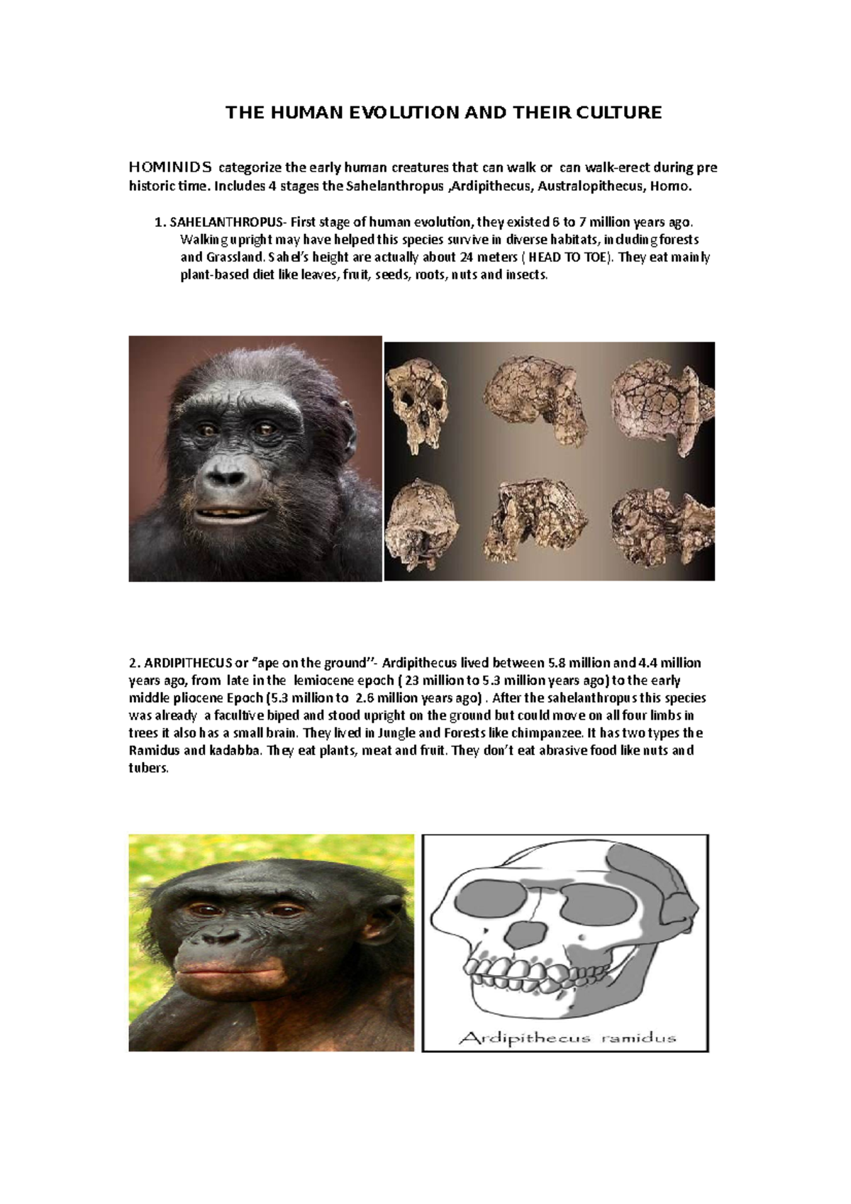 Human Evolution and Culture - ANTHROPOLOGY Study Notes - Studocu