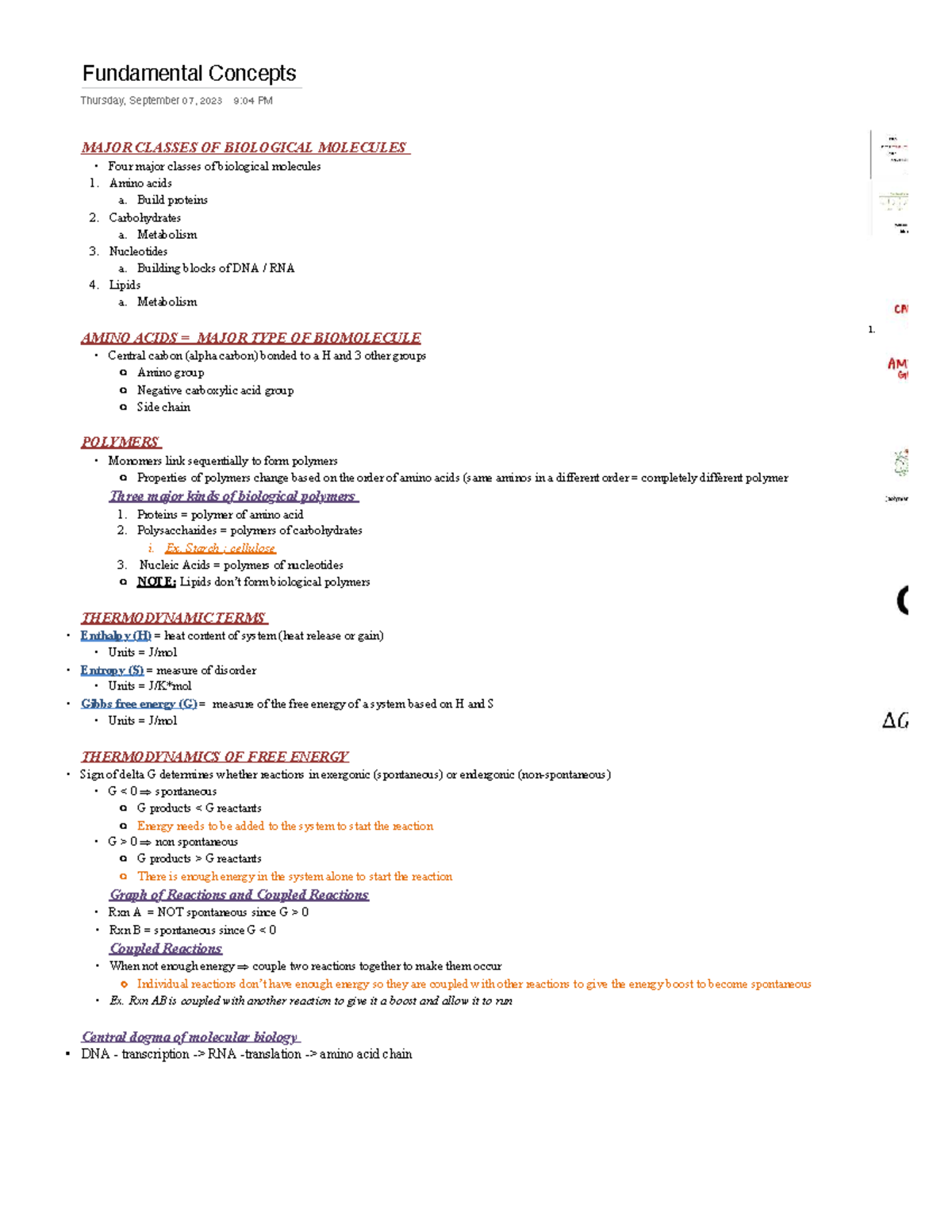 Biochemistry 2280: Major Classes of Biological Molecules Notes - Studocu