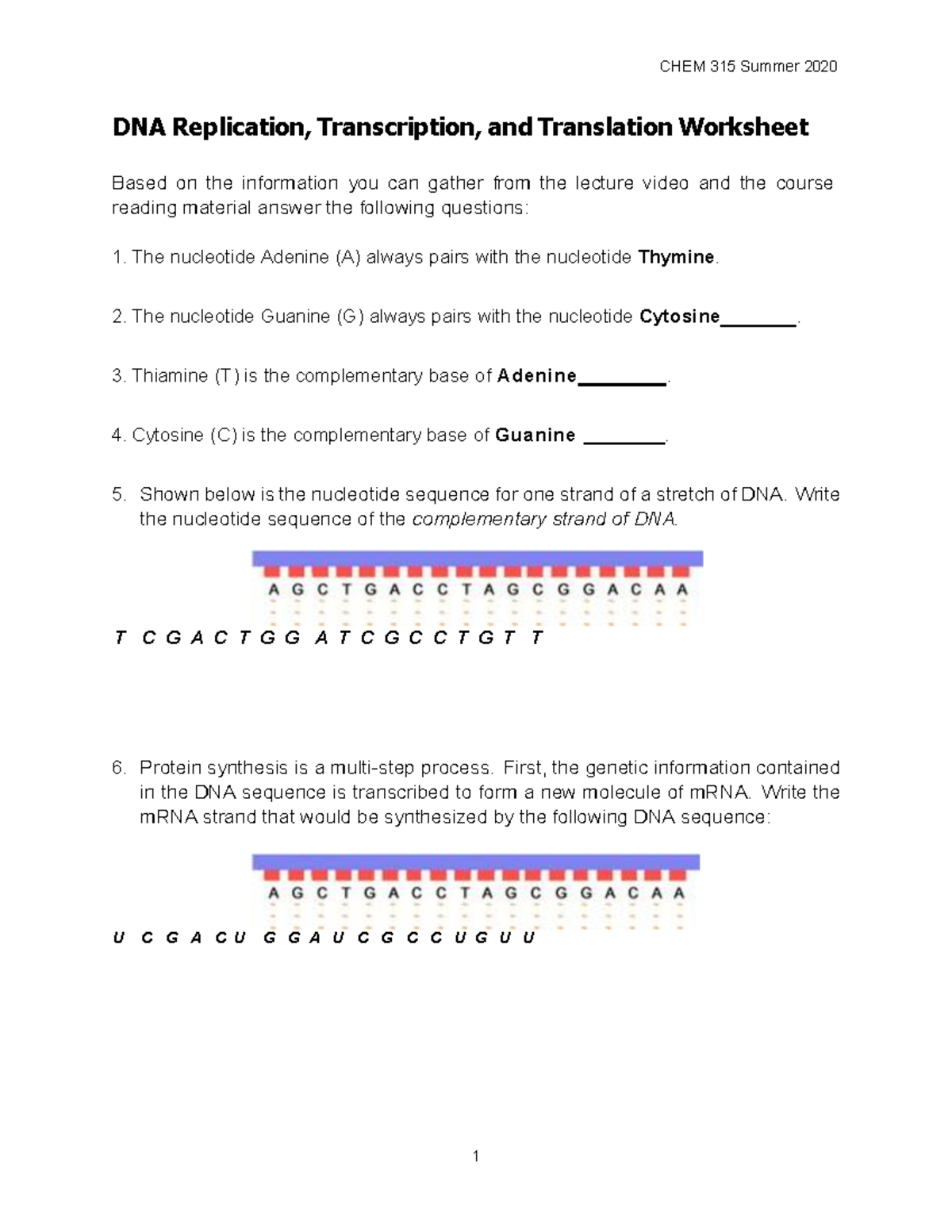 Dna Replication Transcription And Translation Worksheet Answers