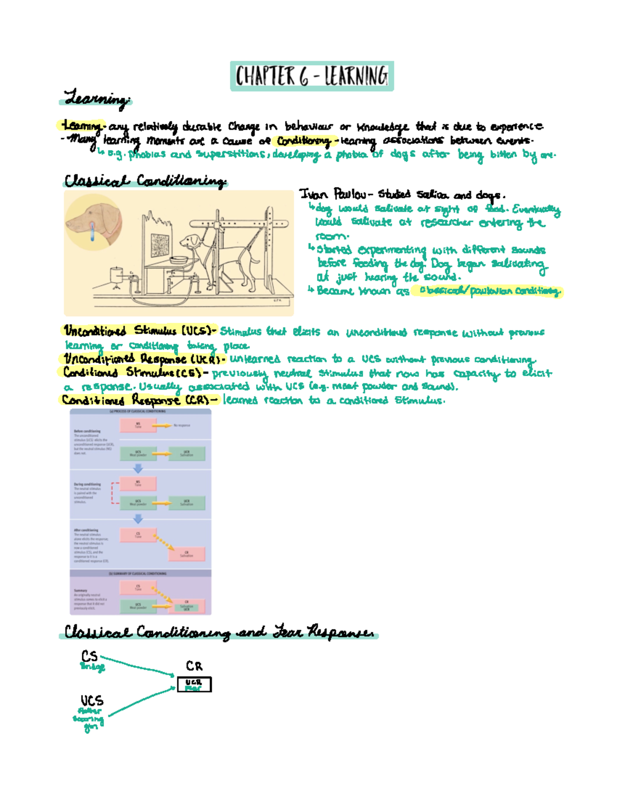 Chapter 6 - Learning - Learning Learning any relativelydurablechange in behaviour or ...