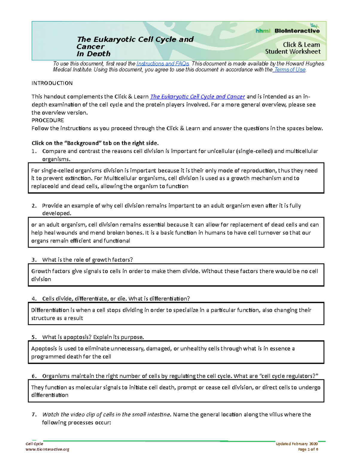 Eukaryotic Cell Cycle and Cancer in depth - To use this document, first ...