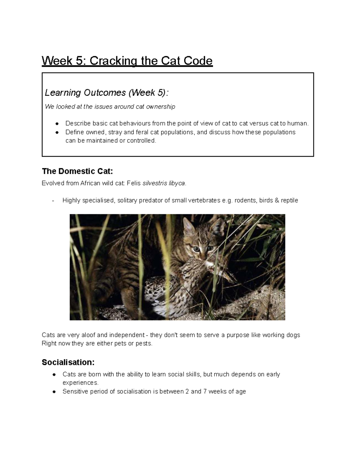 Week 5: Understanding Cat Behavior and Ownership Dynamics - Studocu