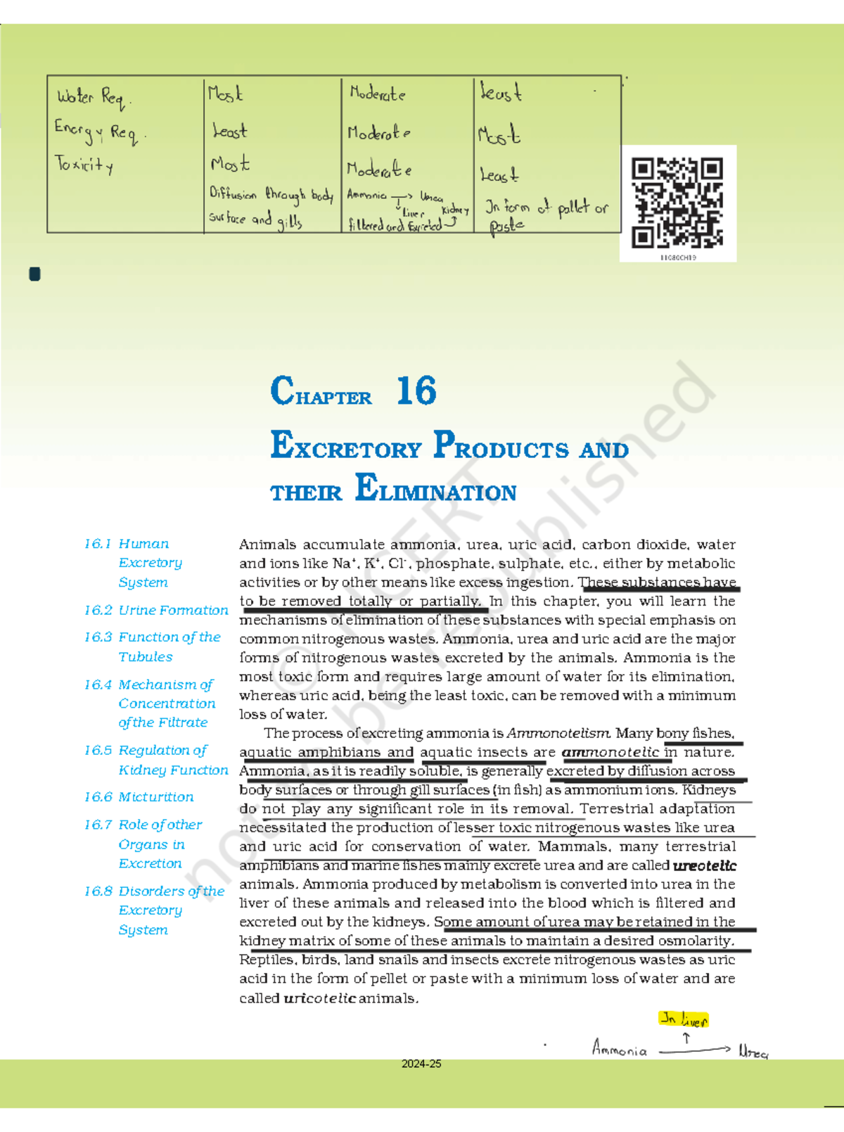 Excretion Notes - Biology 205: Human Excretory System and Functions ...