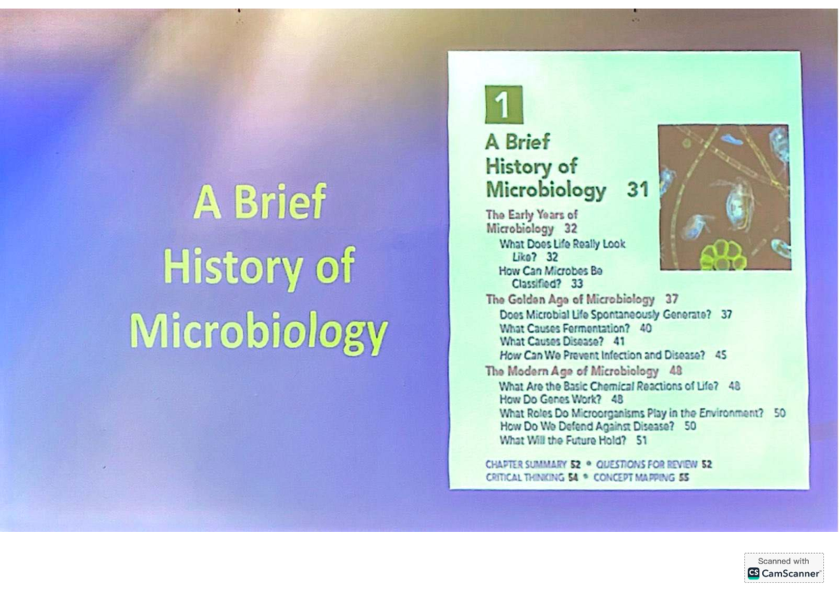 Microbiology Lecture Notes: Introduction & Key Concepts (BSc IM) - Studocu