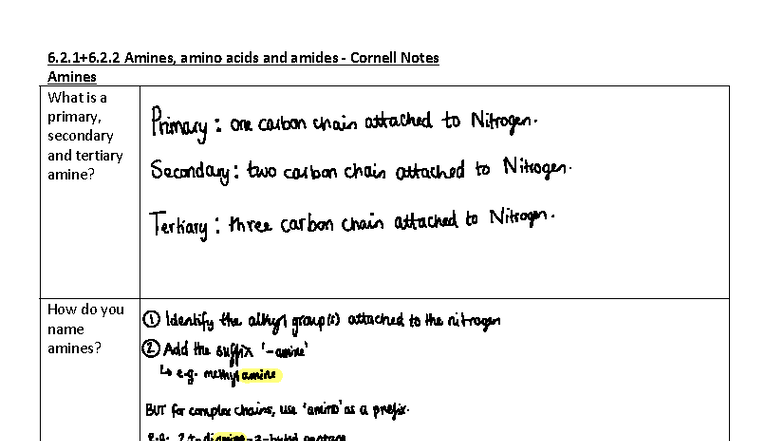 Chem 101: Amines, Amino Acids & Amides - Cornell Notes - Studocu