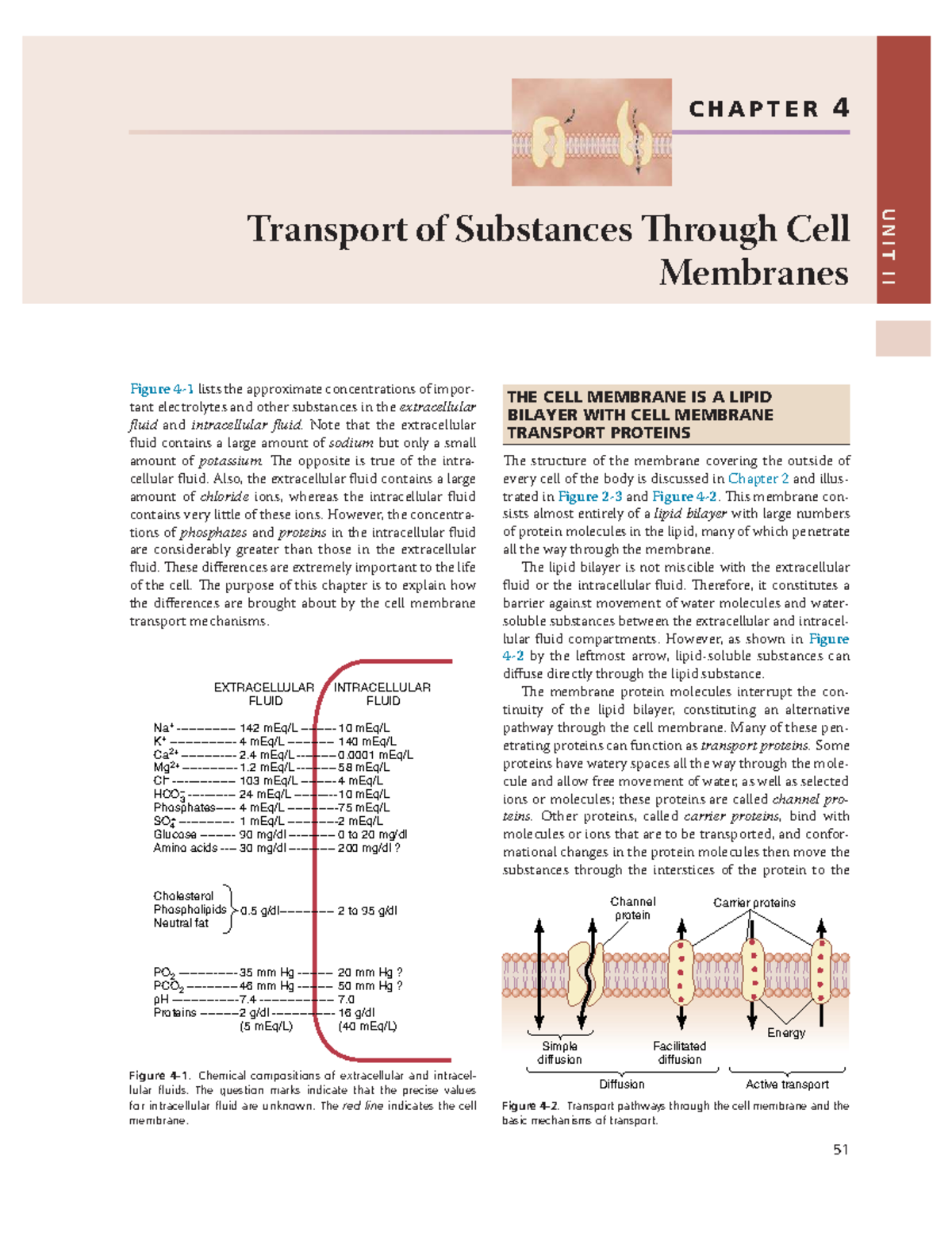 Transport of substances through cell membranes - môn giáo dục và nâng ...