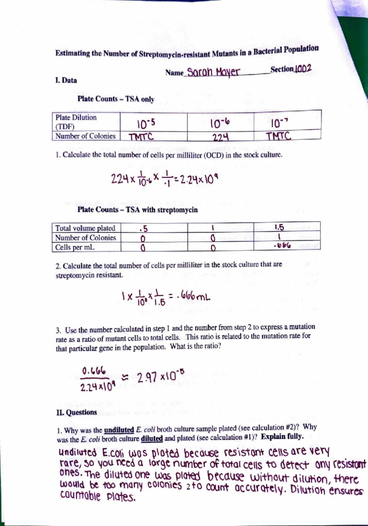 Estimating Mutant Cell Ratios in Bacterial Populations - Lab Worksheet ...