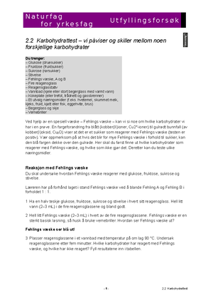 Fullstendig forbrenning og ufullstendig forbrenning - FULLSTENDIG OG ...