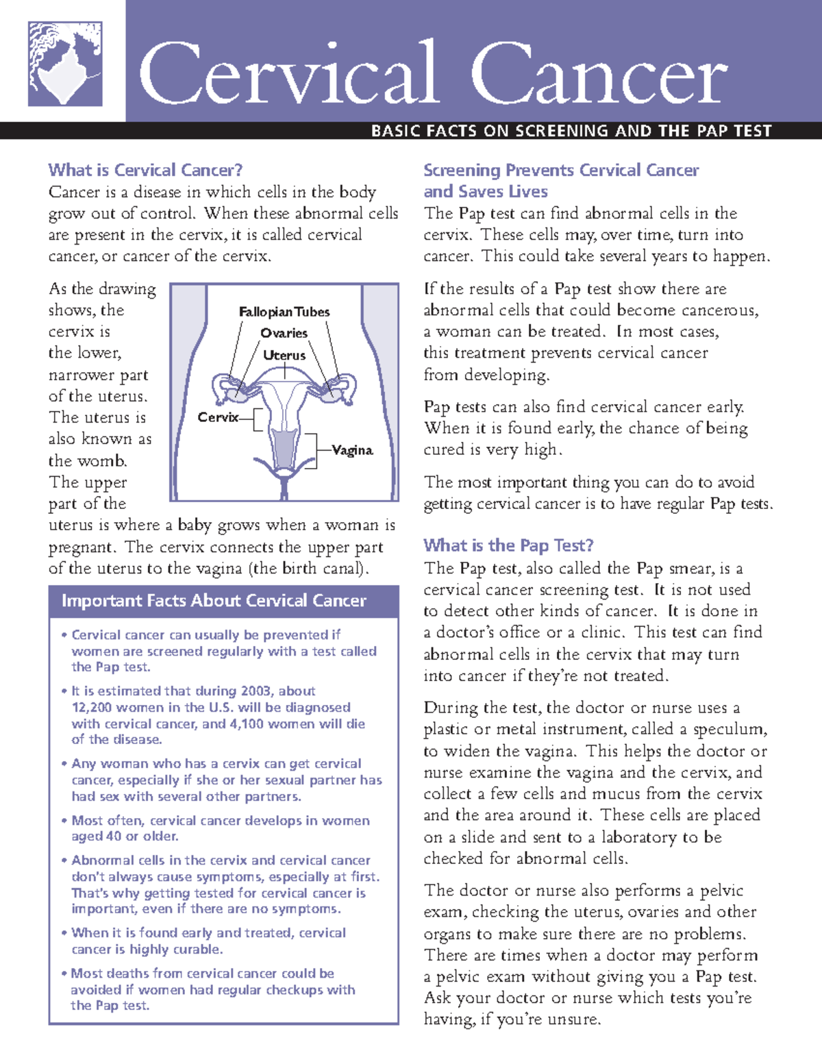 Cervical Cancer Screening: Key Facts on Pap Test and Prevention ...