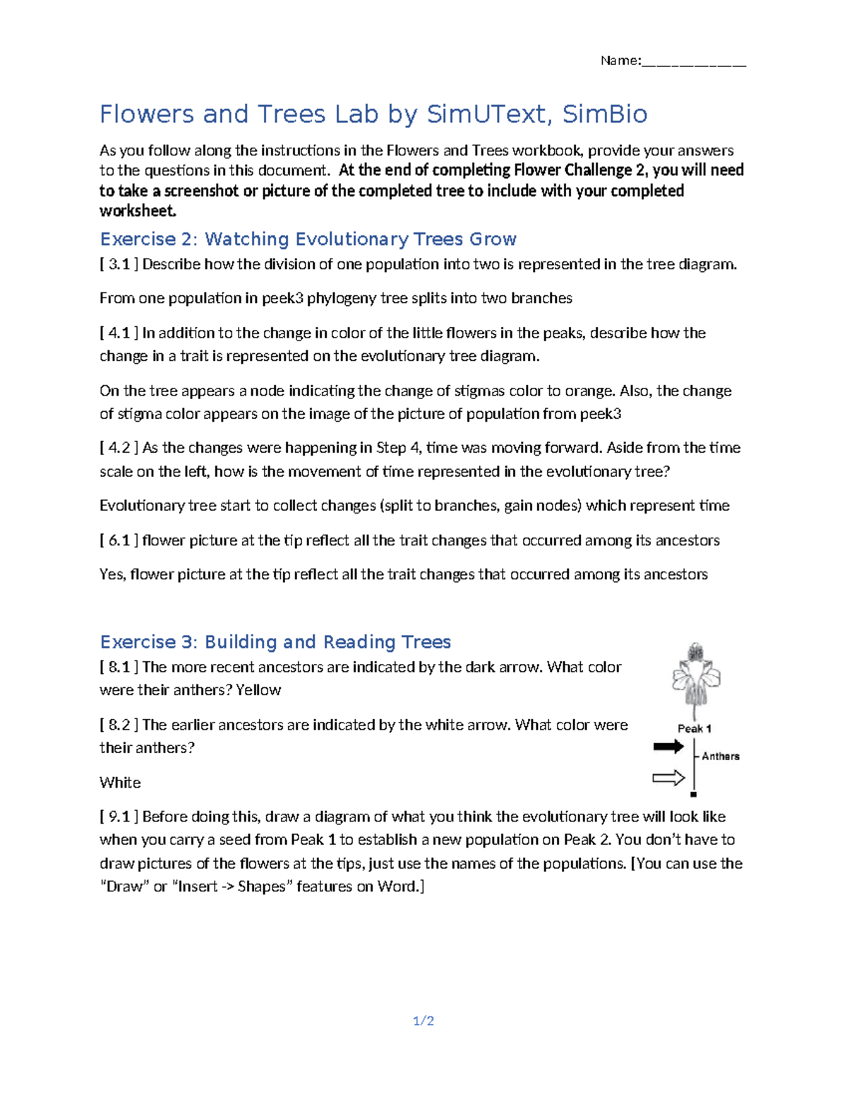 Phylogenetic Trees Lab Worksheet - Flower and Tree Evolution Analysis ...