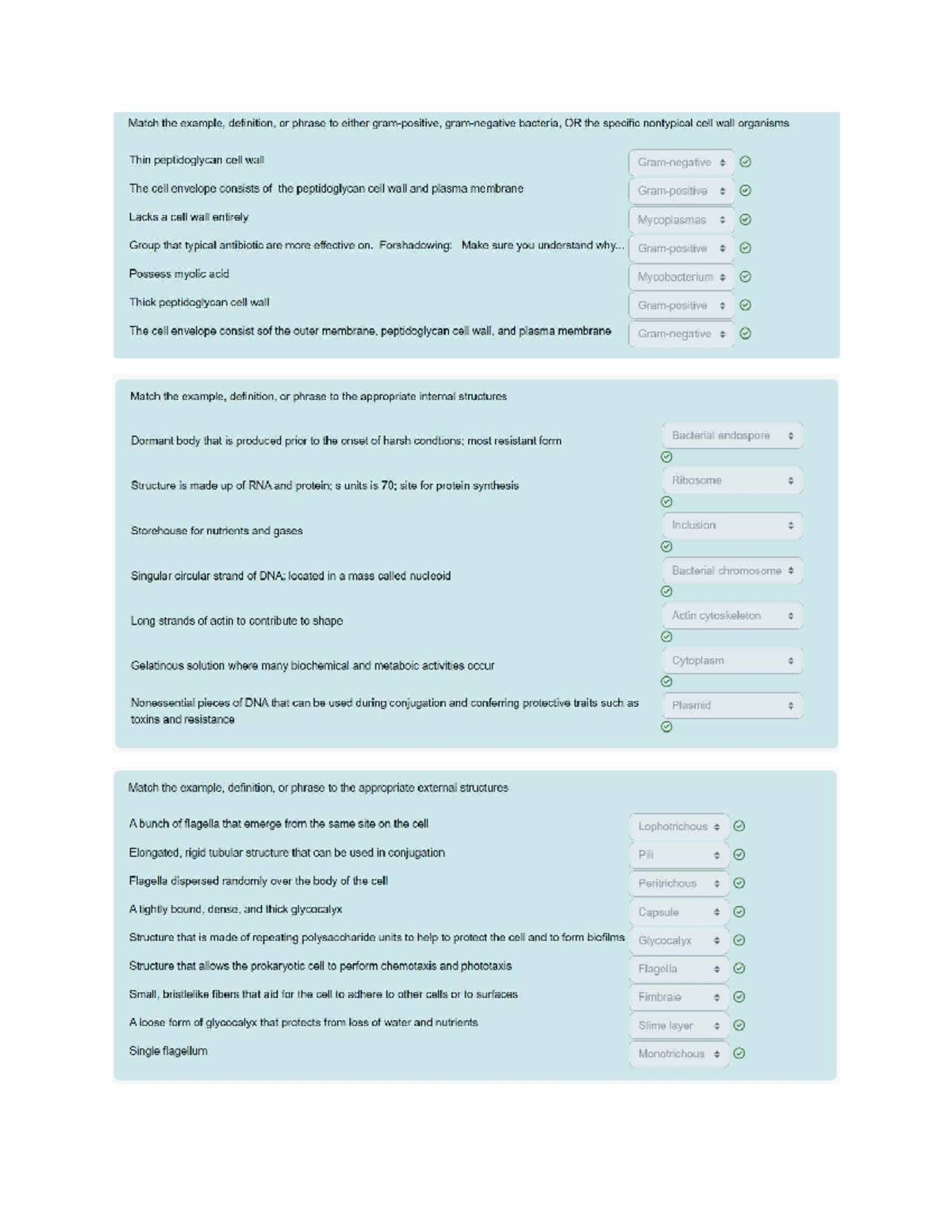 Prokaryotes Quiz - Lecture Notes on Bacteria and Cell Structures - Studocu